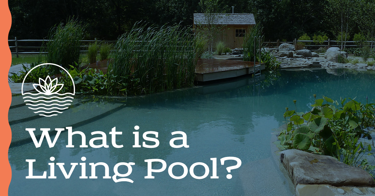 What is a Living Pool? | Nature's Way Living Pools