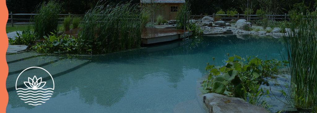 What is a Living Pool? | Nature's Way Living Pools