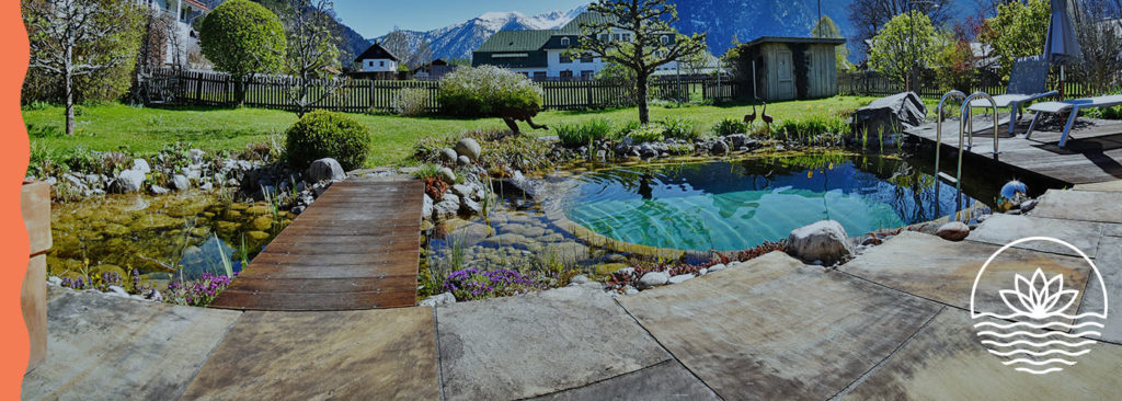 Organic Swimming Pools & Bioponds | Nature's Way Living Pools