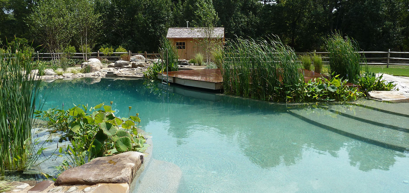 10 Questions to Ask Yourself Before Building a Living Pool - Nature's ...